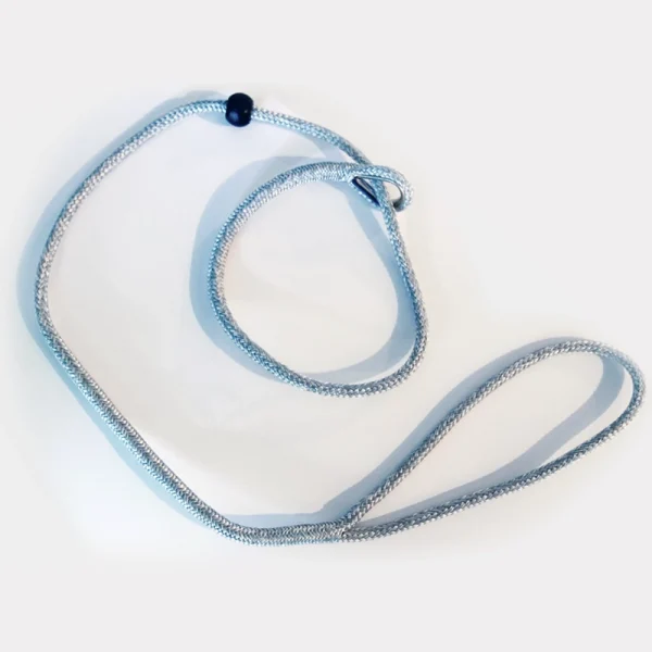 The Perfect Slip Leash – CherryHoggs